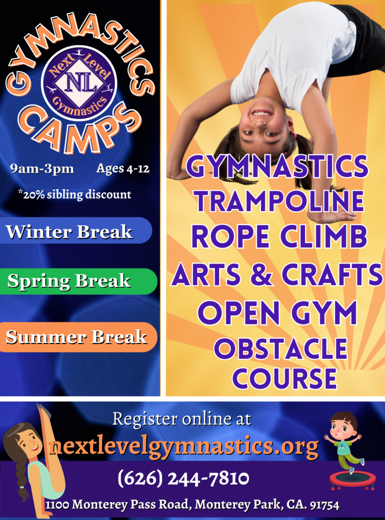 Flyers - Next Level Gymnastics