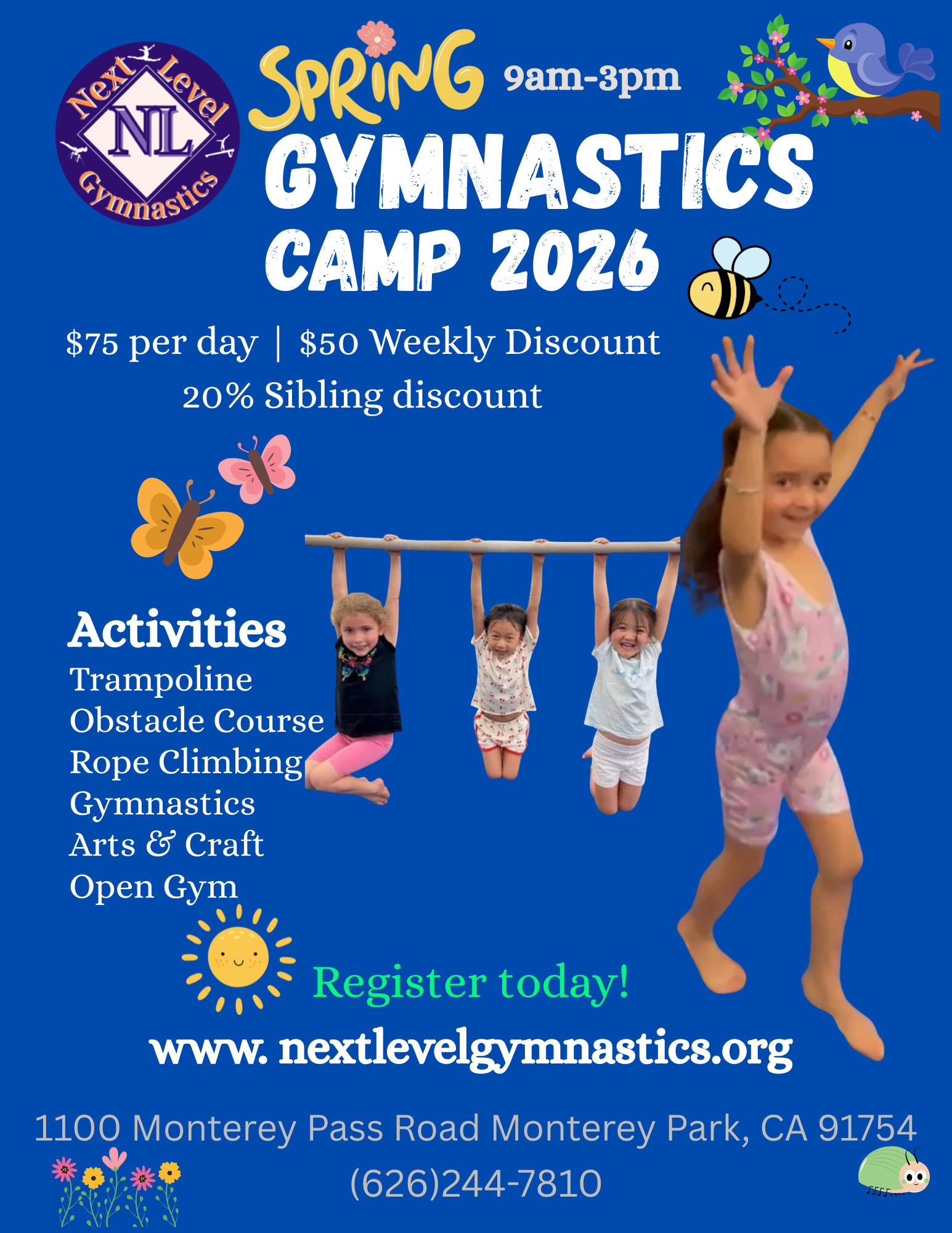 Springcamps - Next Level Gymnastics
